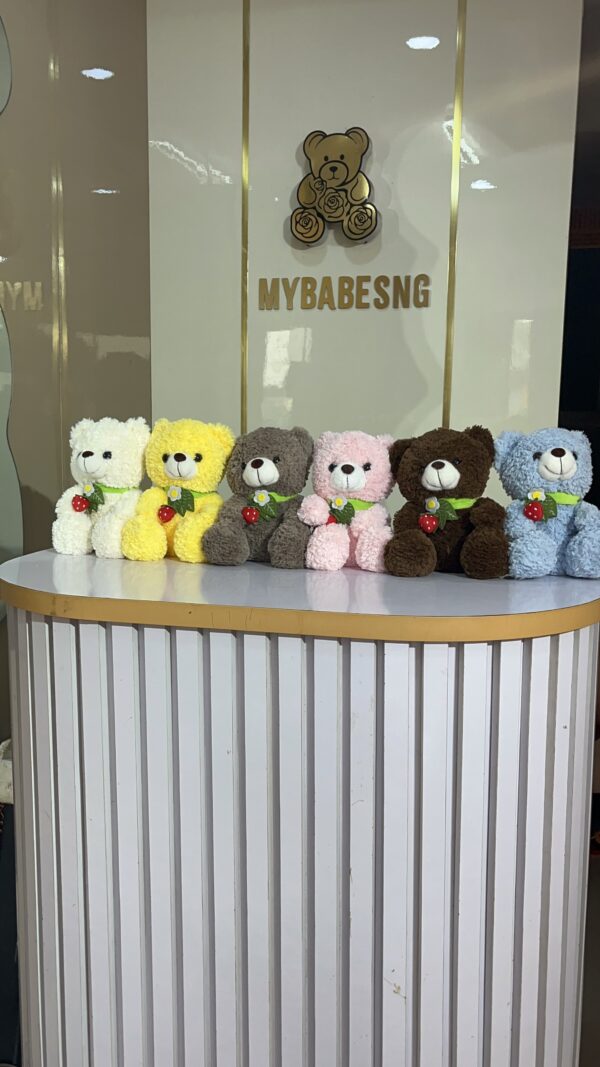 25cm Strawberry Teddy – MyBabesNG